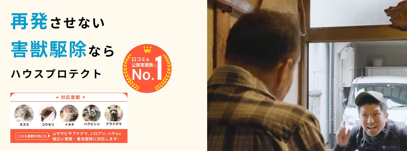 害獣駆除作業の相場っていくら？料金を左右する要因と失敗しない業者選びのコツ